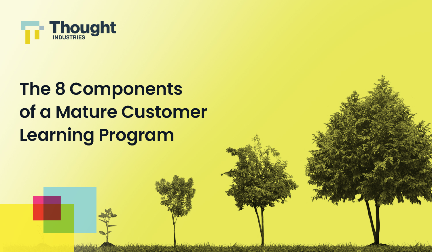 Thought Industries’ Maturity Model for Professional Training Businesses ...